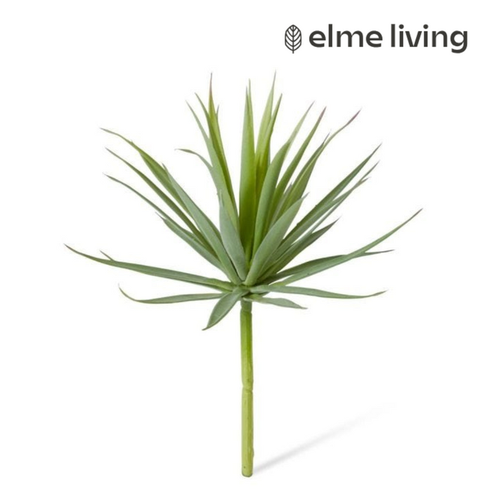 Agave Needle Grey Green 15x15x14cm